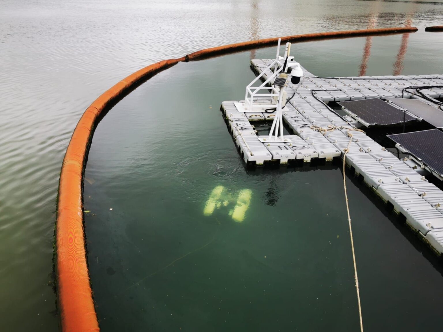 BeeX’s A.IKANBILIS Transforms Floating Solar Farm Inspections: A Four ...