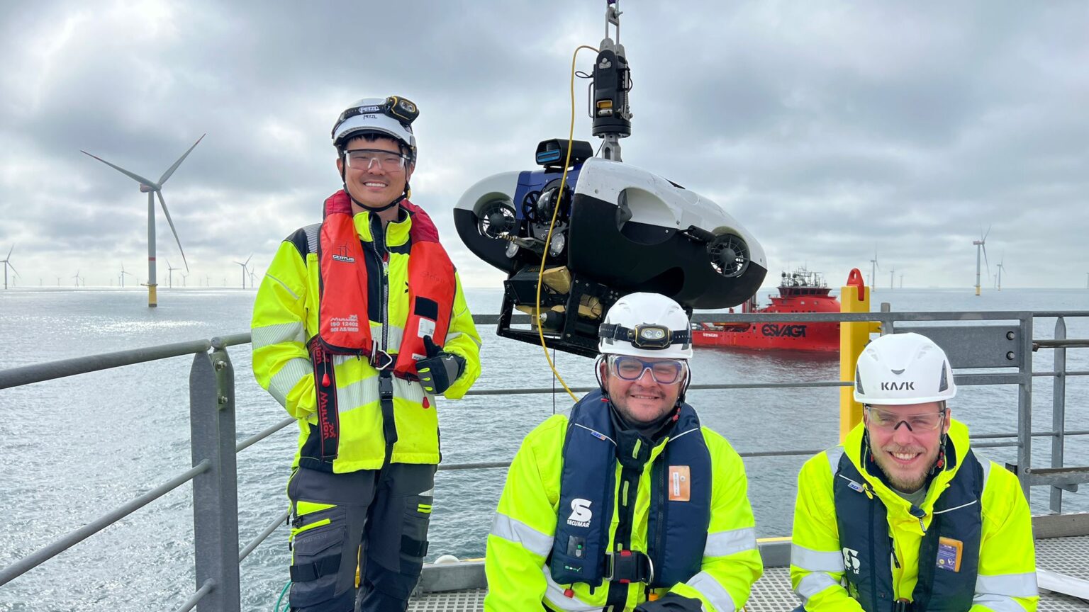 Case Studies – BeeX