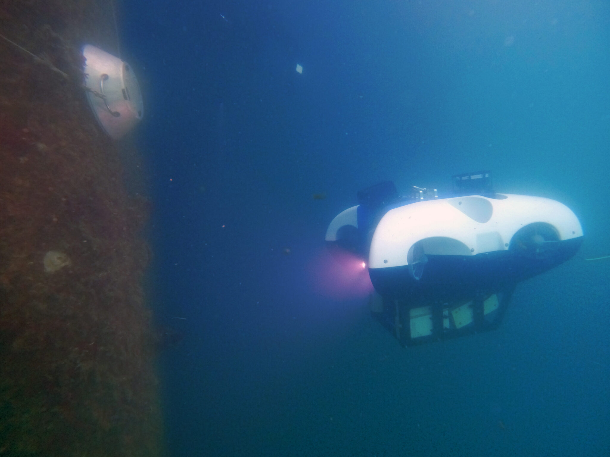 Case Studies – BeeX