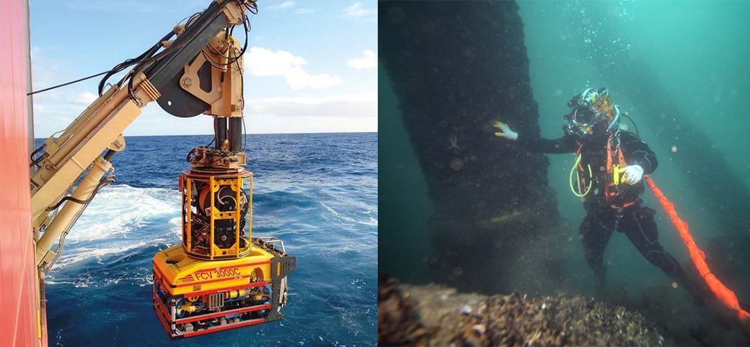 BeeX Raises the Tide: 8-Figure Series A Fuels Global Push in Autonomous ...